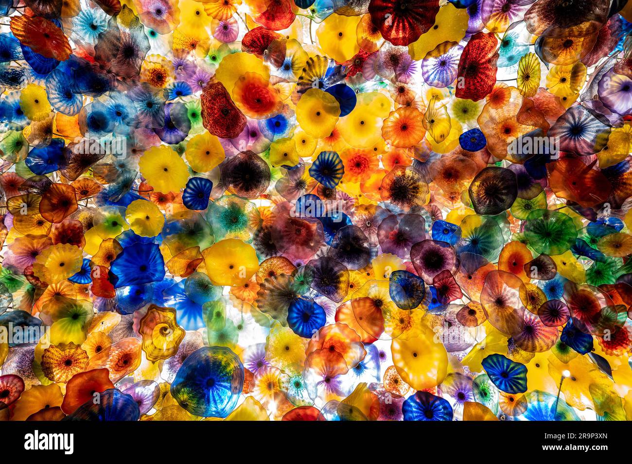 Colorful Art Display On A Ceiling Stock Photo Alamy