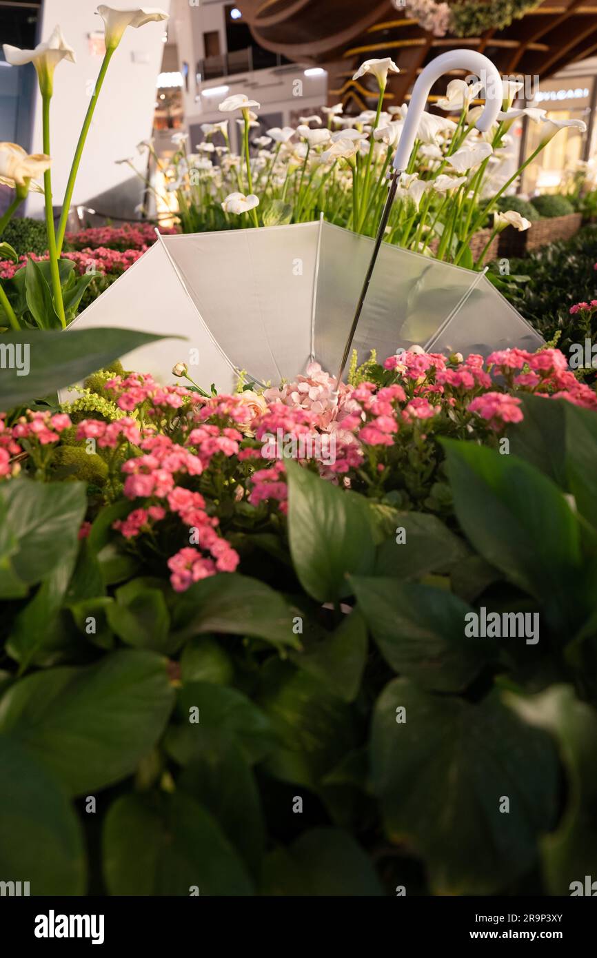Fallen Umbrella in a Garden Stock Photo - Alamy