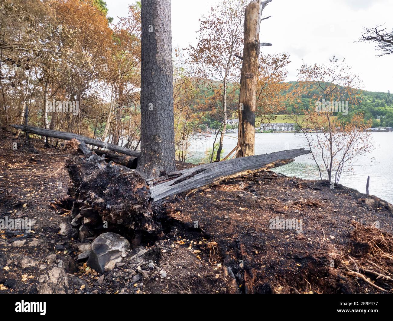 An area of woodland at the head of Lake Windermere that was set on fire ...