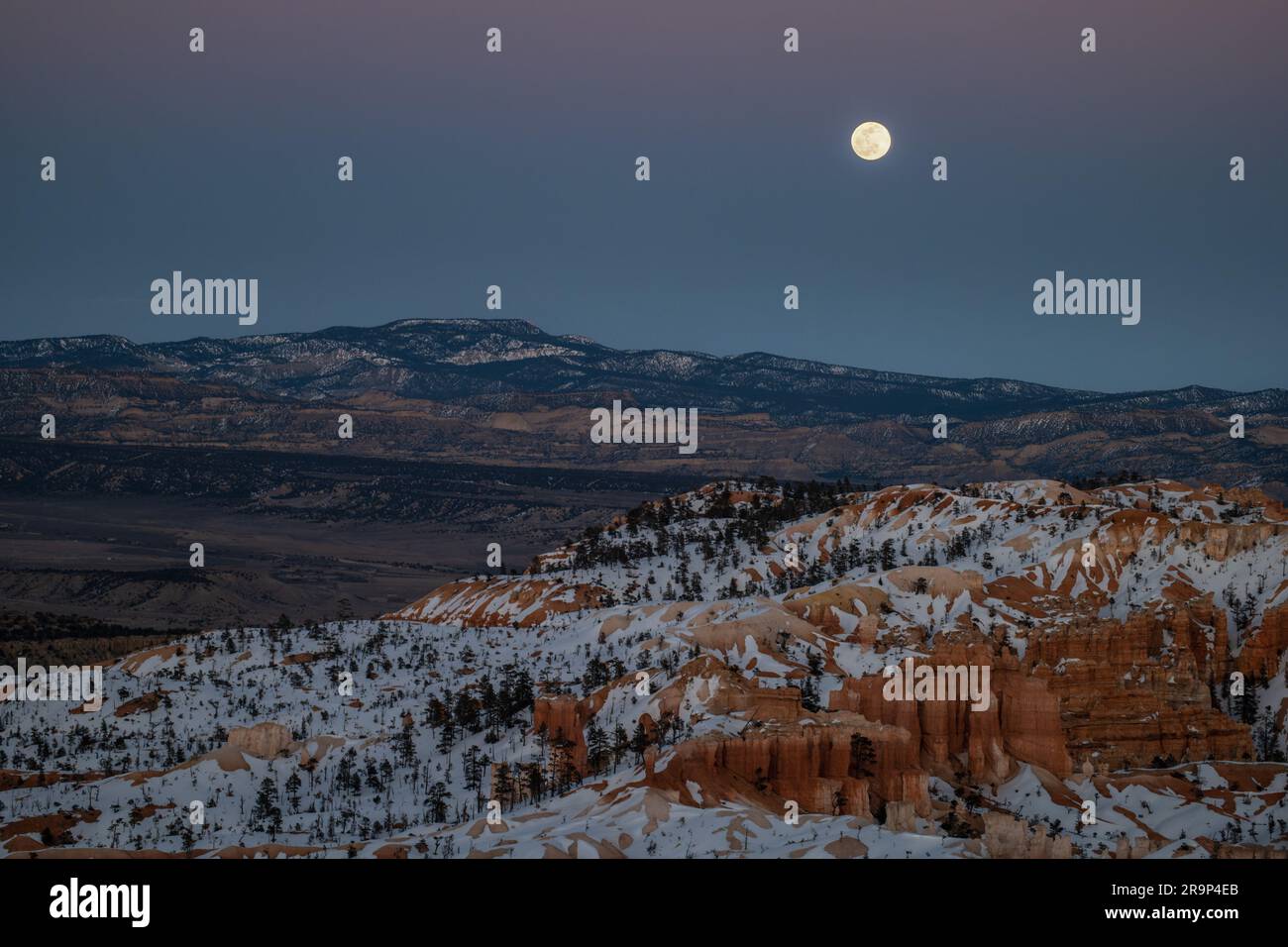 Full moon over spruce forest hi-res stock photography and images - Alamy