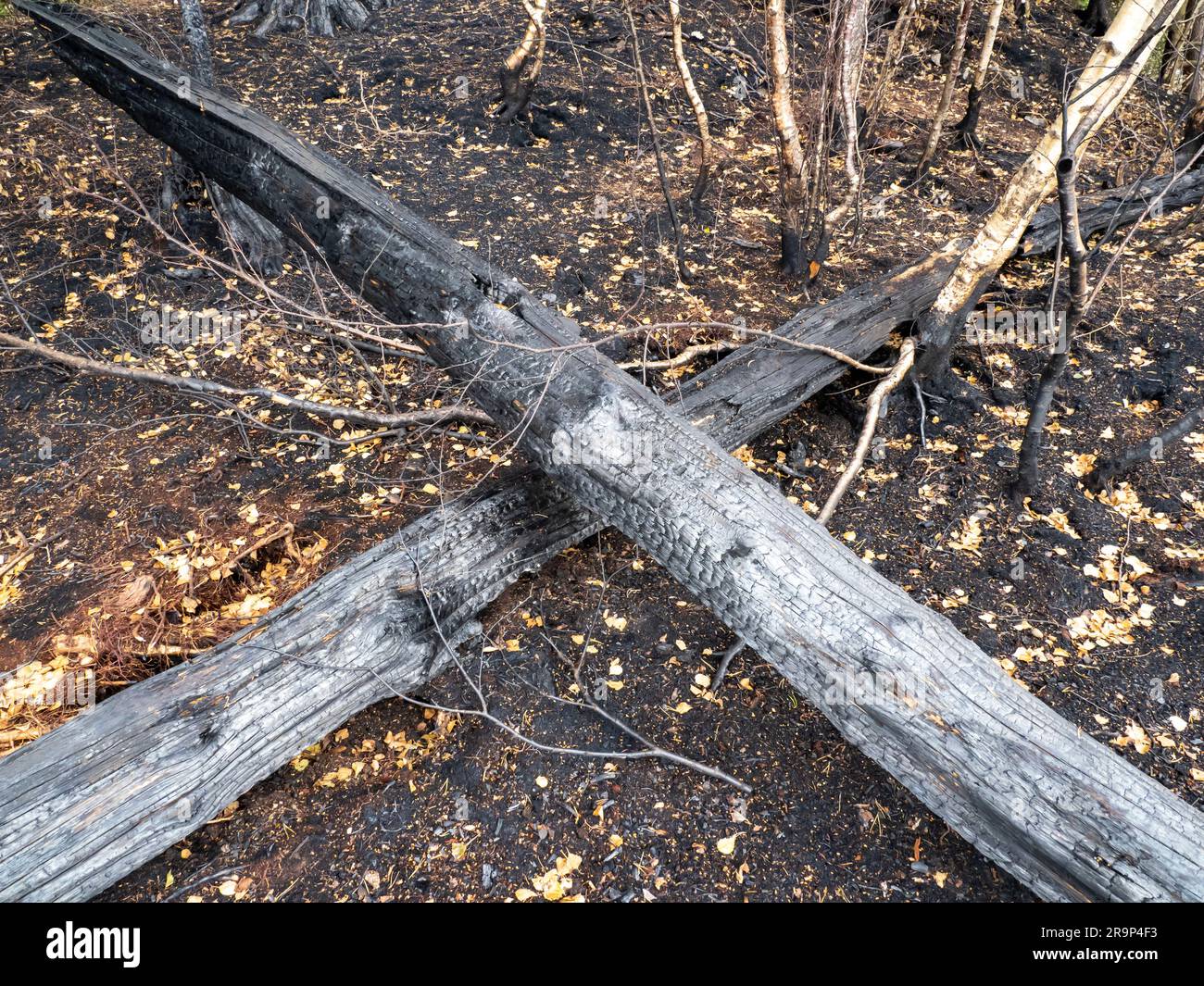 An area of woodland at the head of Lake Windermere that was set on fire ...