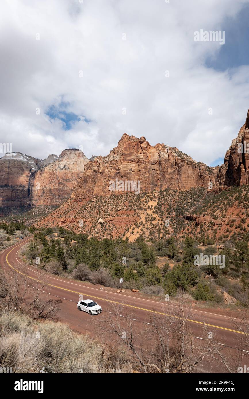 Zion National Park Canyon in the Spring Stock Photo - Alamy