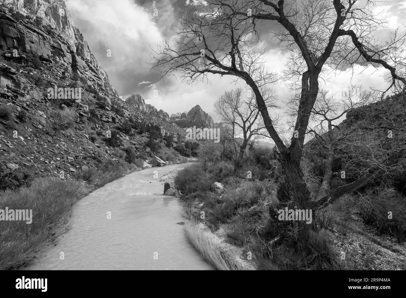 White river national forest summer Black and White Stock Photos ...