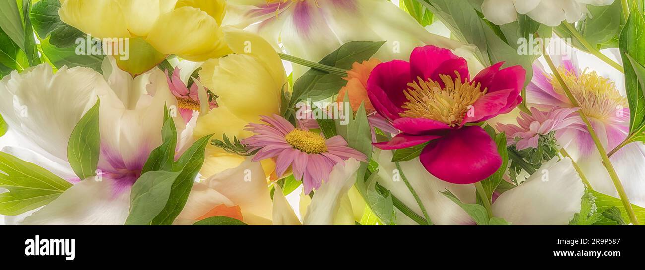 Mostly floral hi-res stock photography and images - Alamy