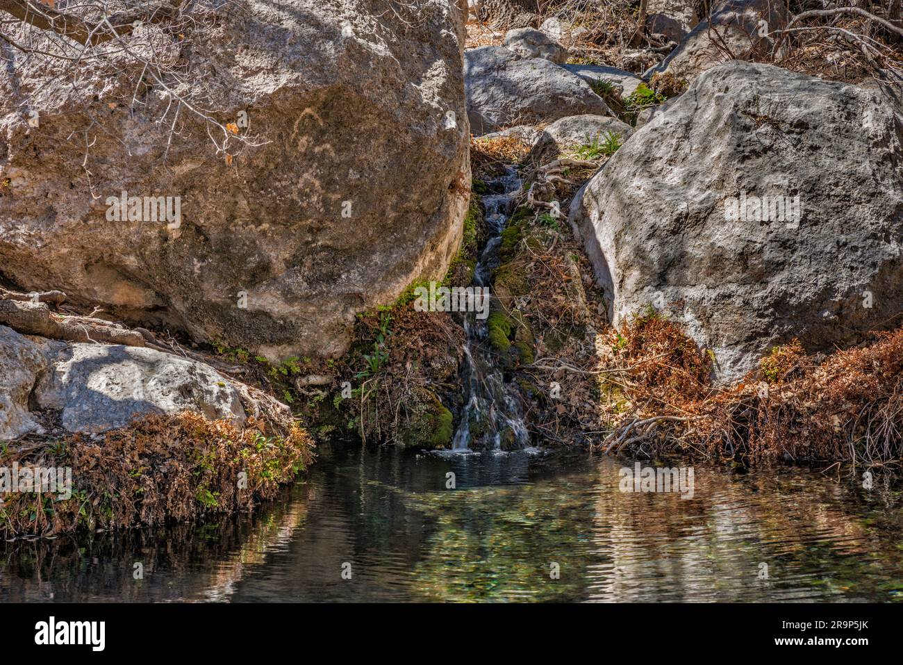 Wild spring water hi-res stock photography and images - Alamy