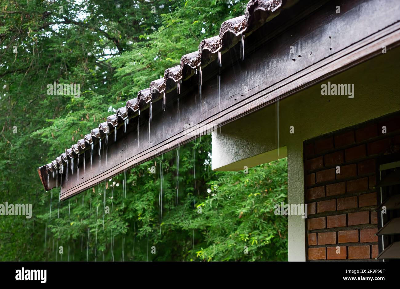 Low angle view of rain water flowing down from the eaves of a house ...