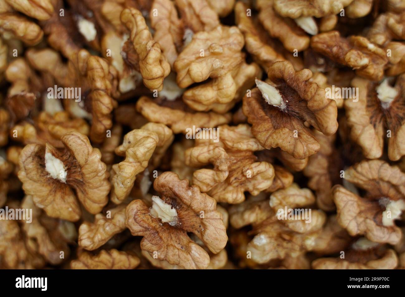 Macro peeled walnut kernel hi-res stock photography and images - Alamy