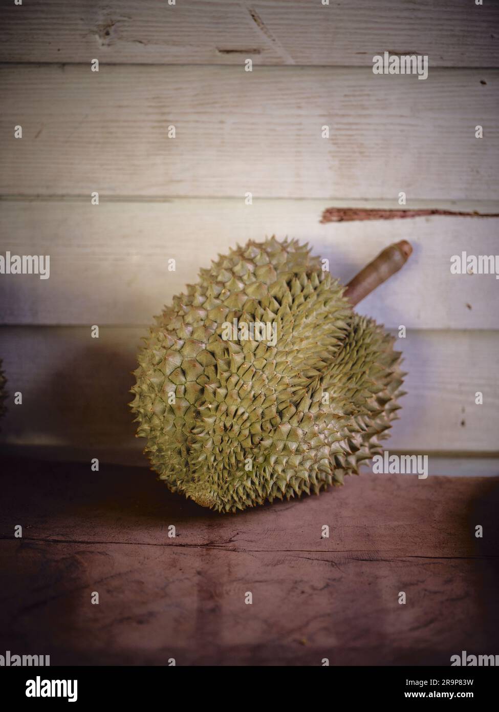 Durian plant hi-res stock photography and images - Alamy