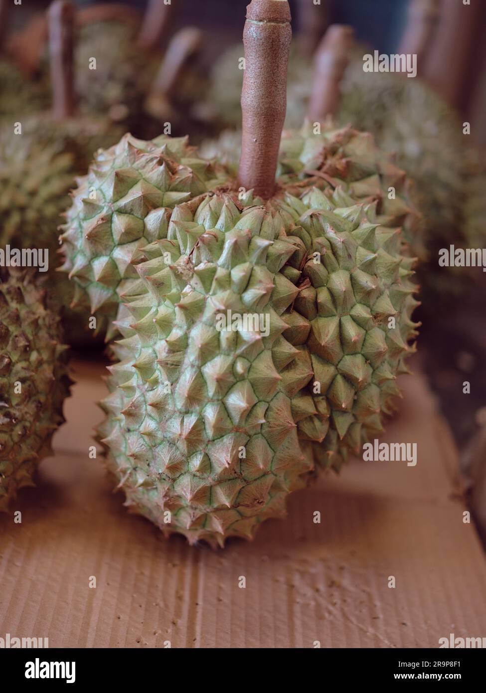 Durian market hi-res stock photography and images - Alamy