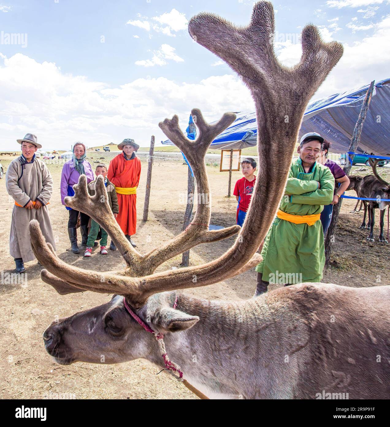 Dukha hi-res stock photography and images - Alamy