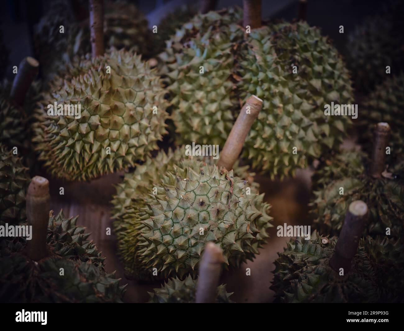 Durian market hi-res stock photography and images - Alamy
