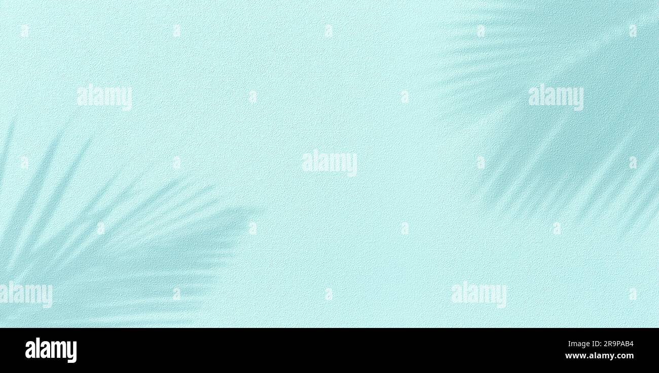 Panorama of texture wall with coconut palm leaf shadow on turquoise ...