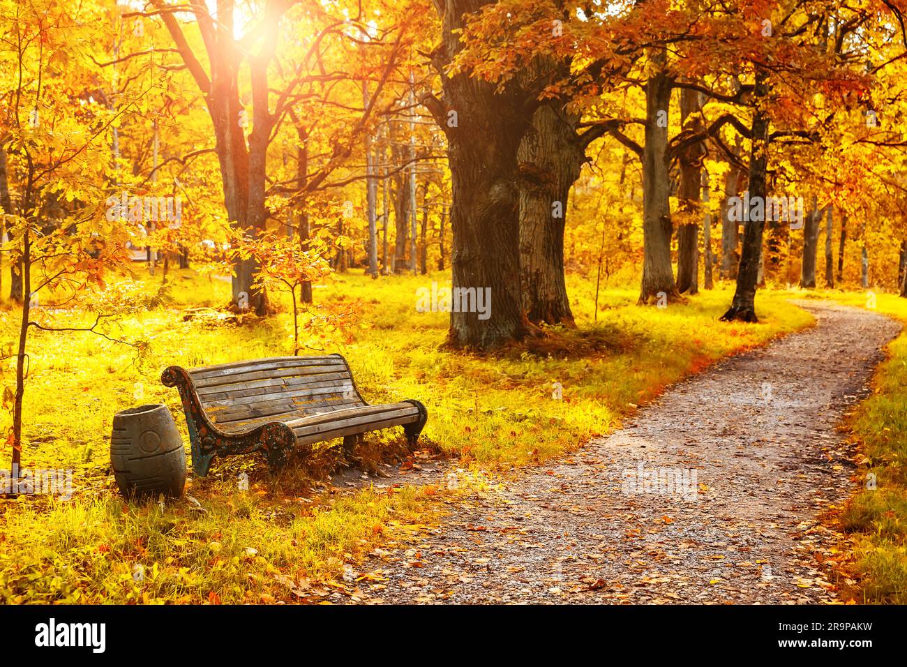Empty park bench trees day hi-res stock photography and images - Alamy