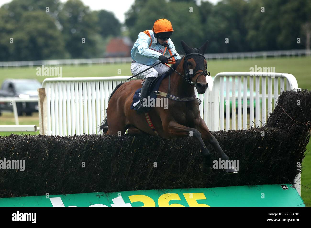 Stepney Causeway ridden by jockey Harry Reed wins the Rory Daly ...