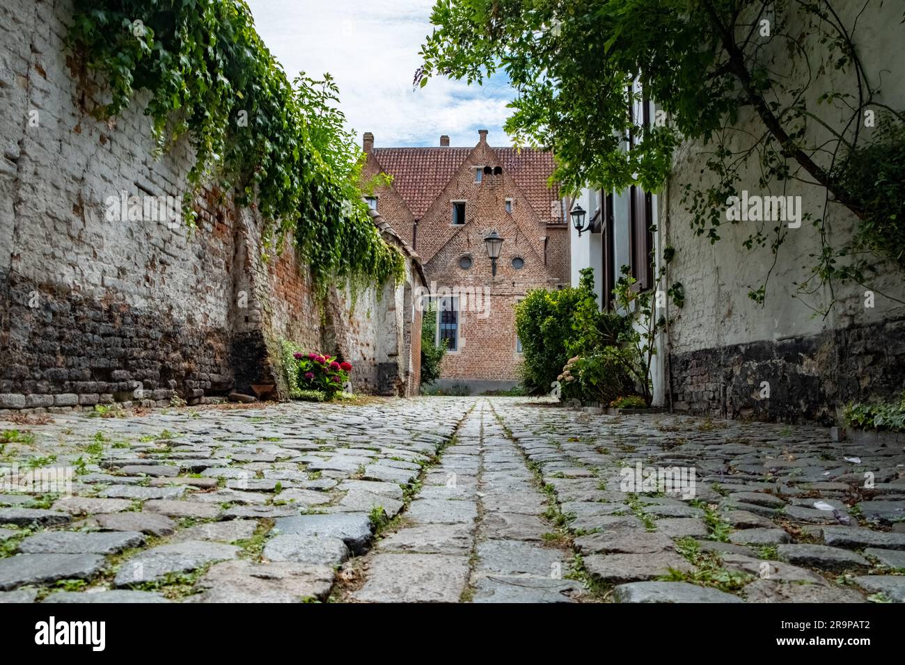 Empty Cobblestone street or laneway in the Groot Begijnhof, the large ...