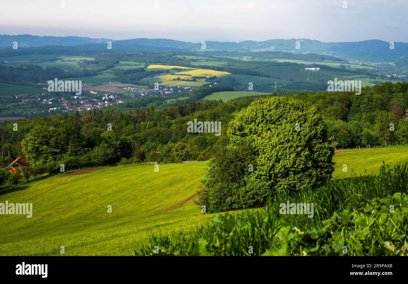 Meadow, field, forest, house and village with hills on background ...