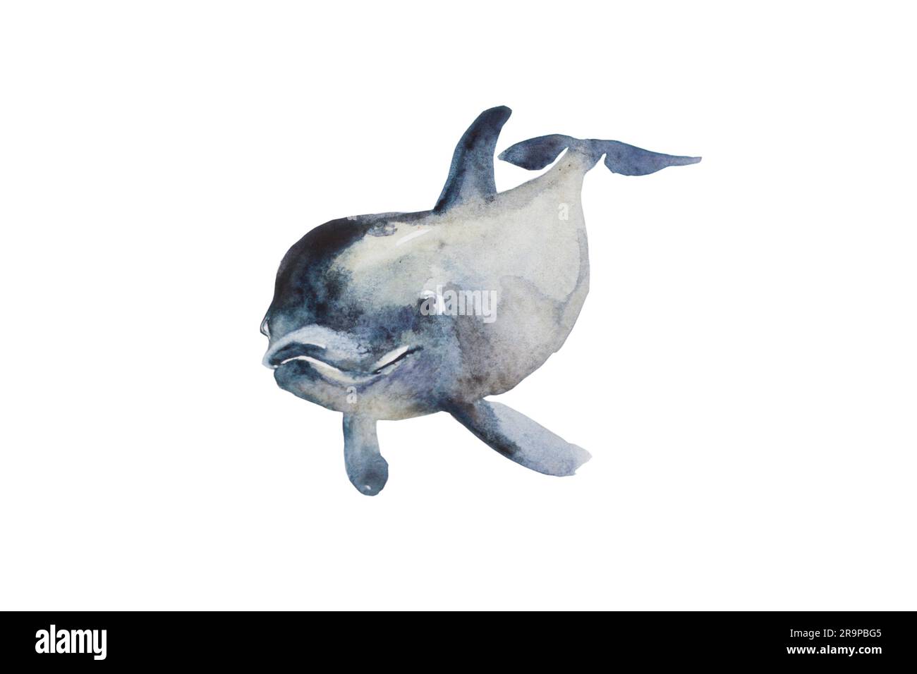 Watercolor illustration of friendly smiling dolphin. Original hand ...