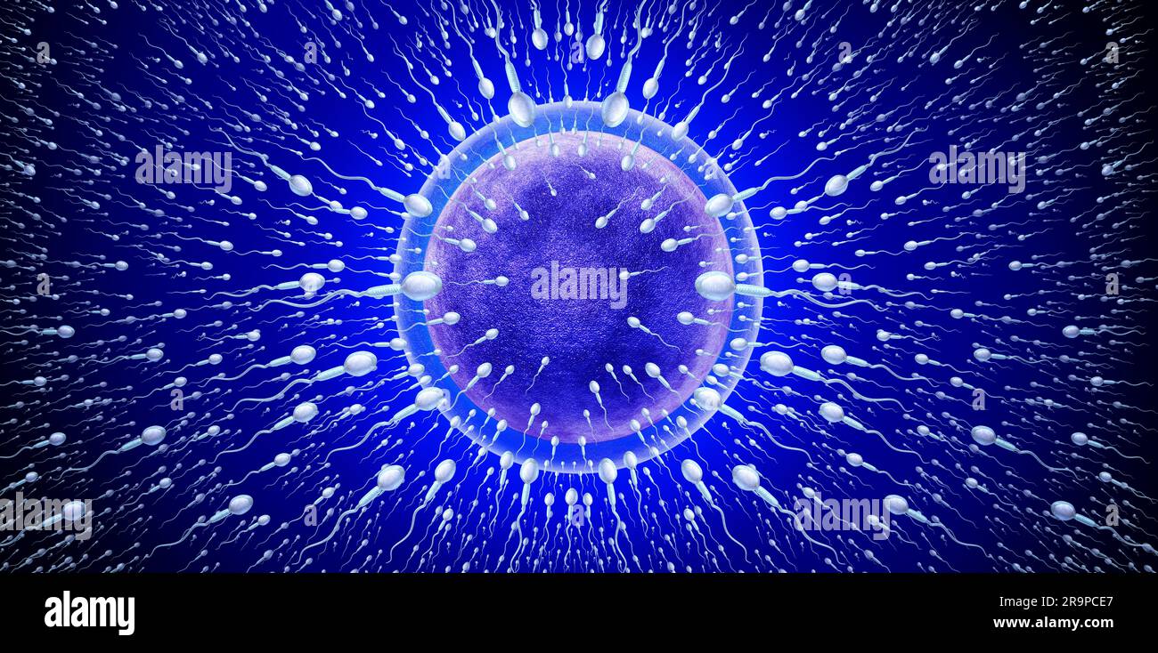 Male fertility and mens Infertility or reproduction concept as healthy ...