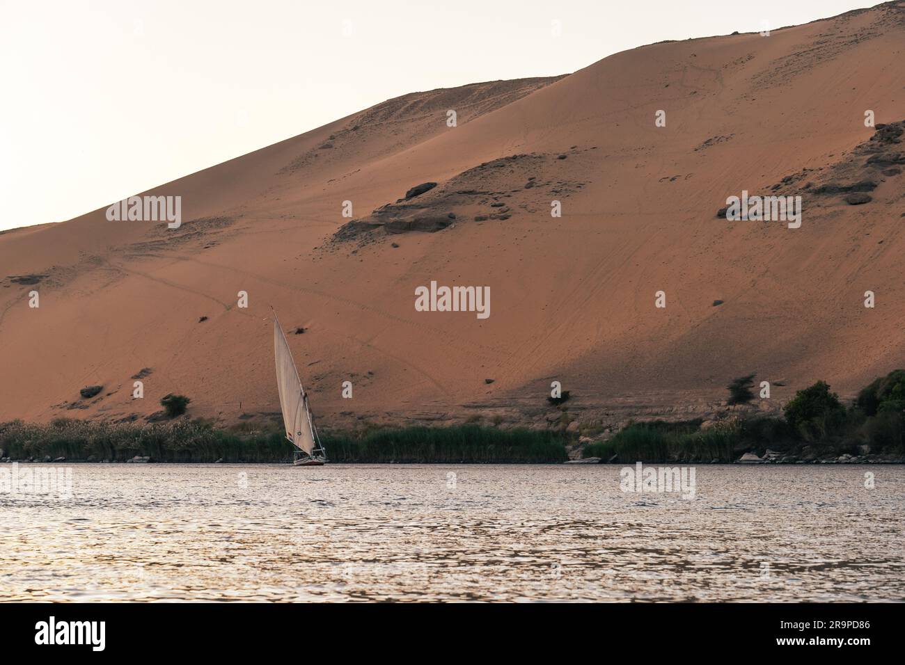 Egyptian Felucca boat cruising in the Nile River at Sunset Stock Photo ...