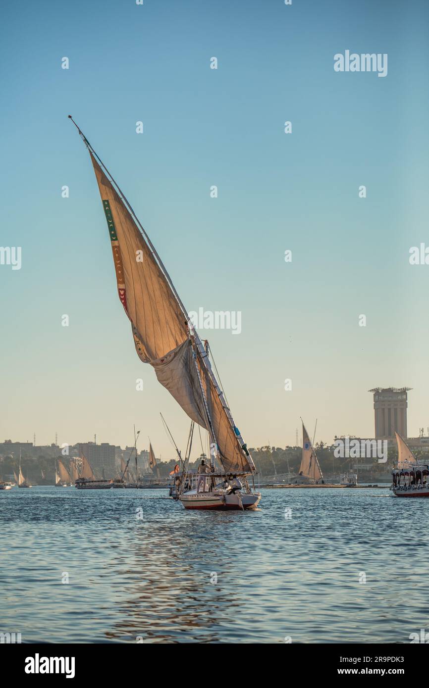 Egyptian Felucca boat cruising in the Nile River at Sunset Stock Photo ...