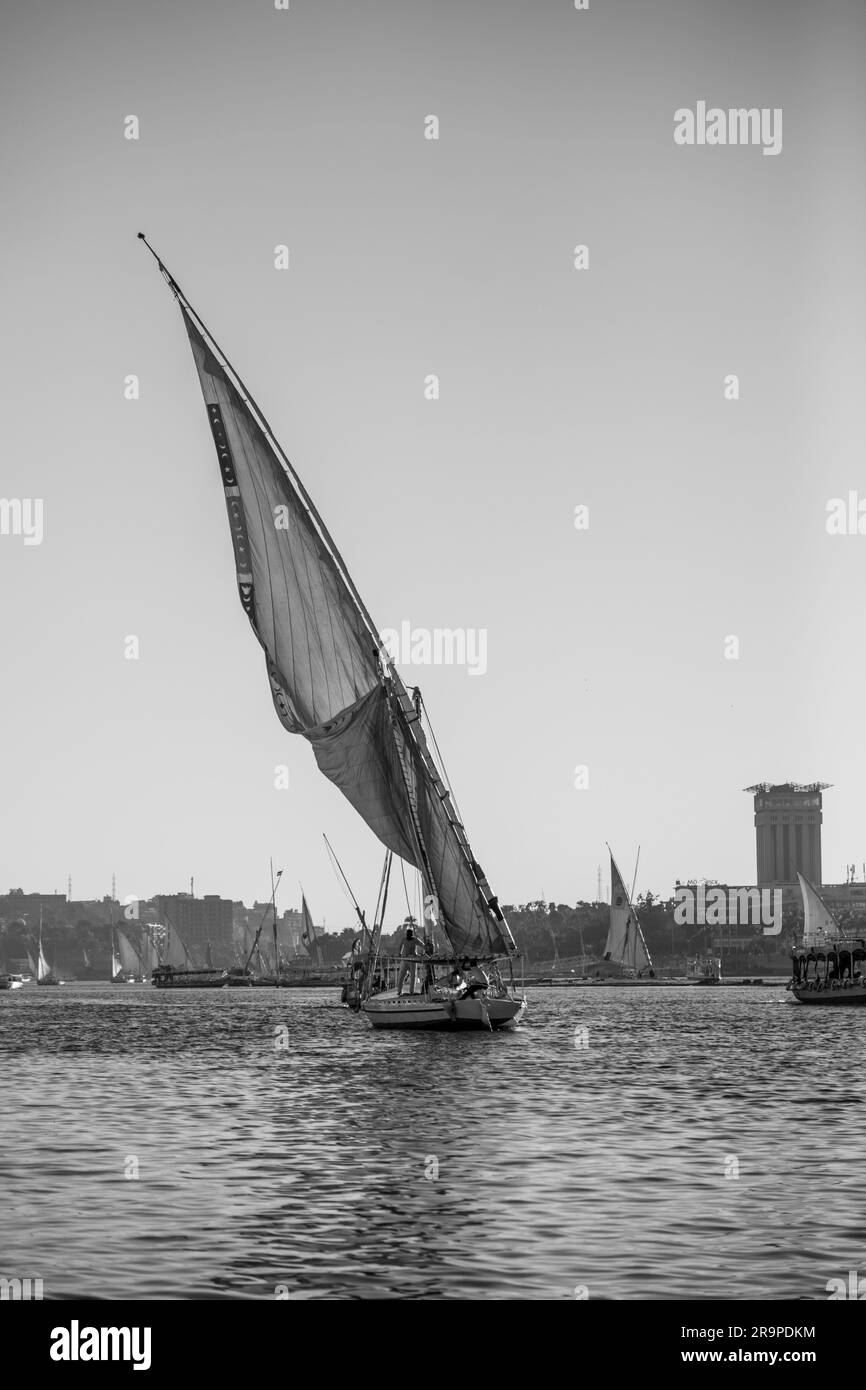 Vacation in egypt Black and White Stock Photos & Images - Alamy