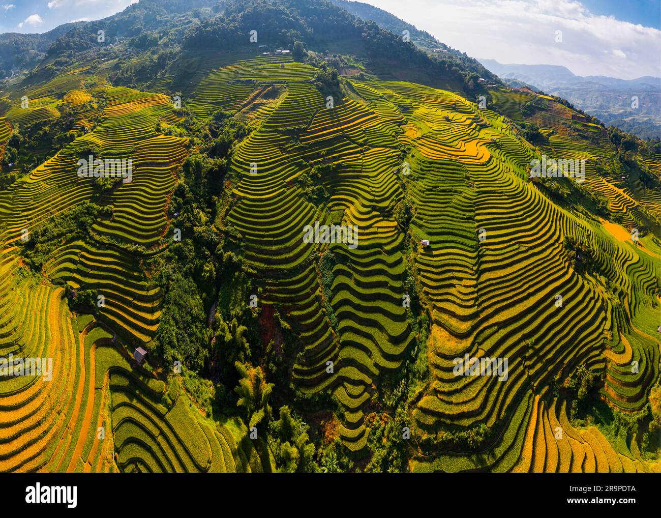 Majestic terraced fields in Mu Cang Chai district, Yen Bai province ...