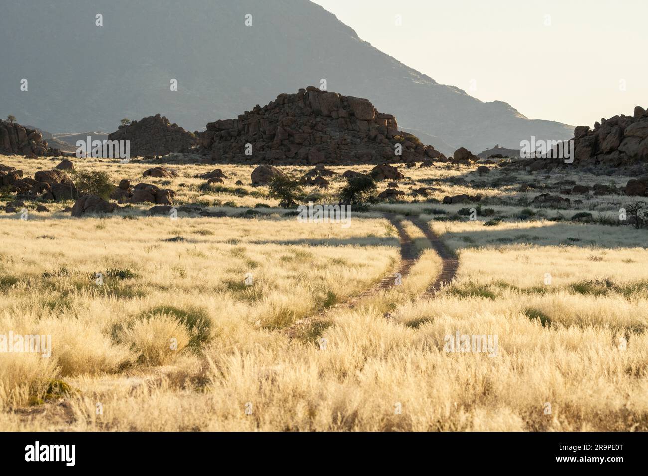 Road leading far to the distance to mountains of the Namibian desert in ...