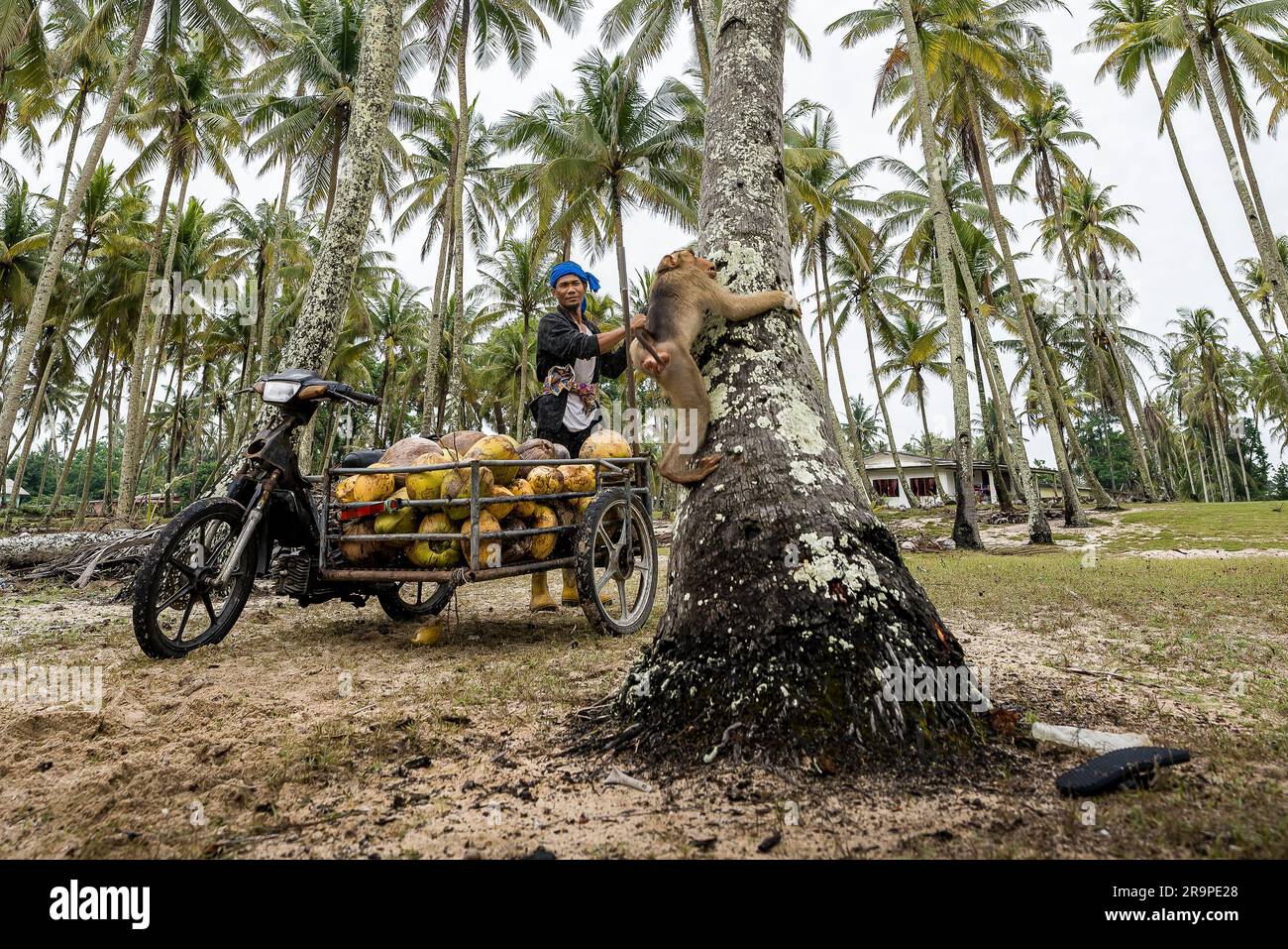 Men with his monkey Stock Photo - Alamy