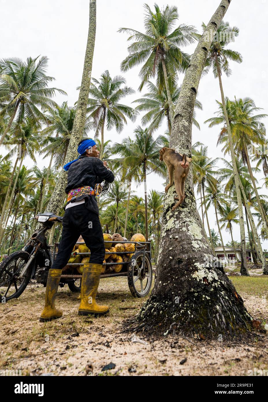 Men with his monkey Stock Photo - Alamy