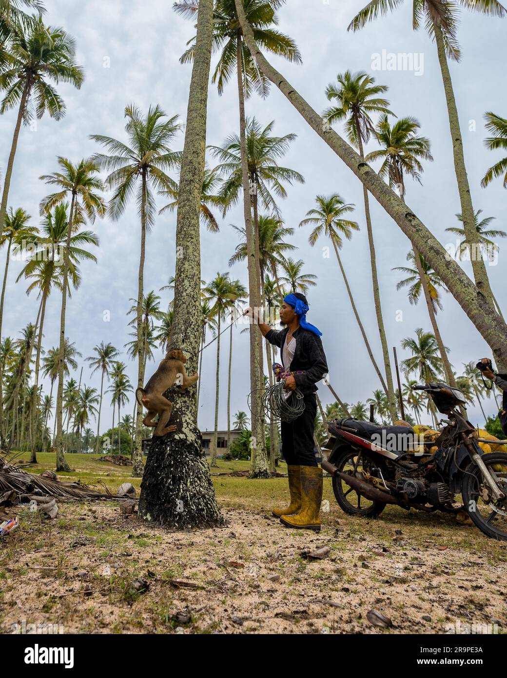 Men with his monkey Stock Photo - Alamy