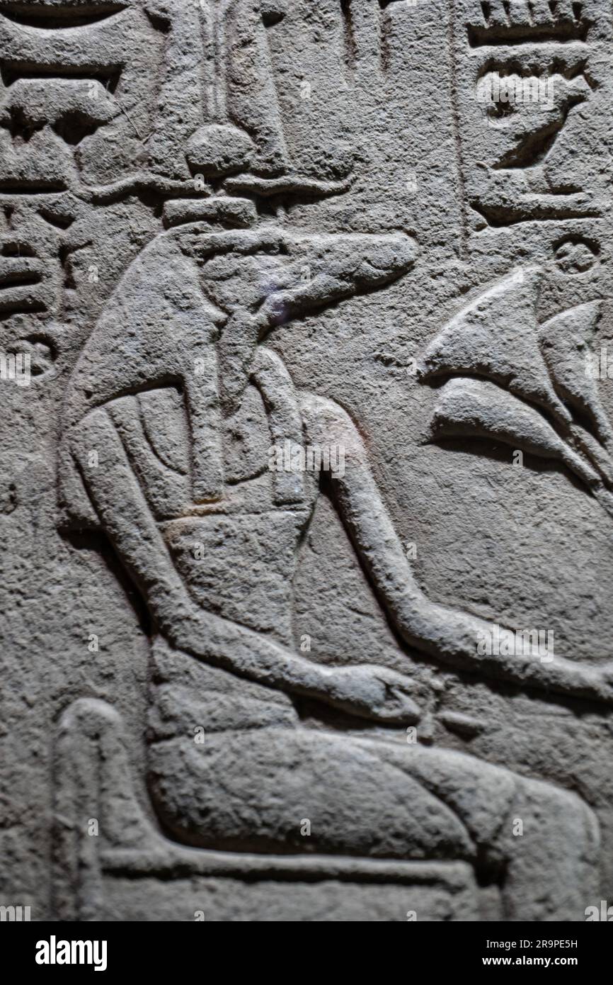 Sebek hieroglyphics on an Egyptian Temple Stock Photo - Alamy