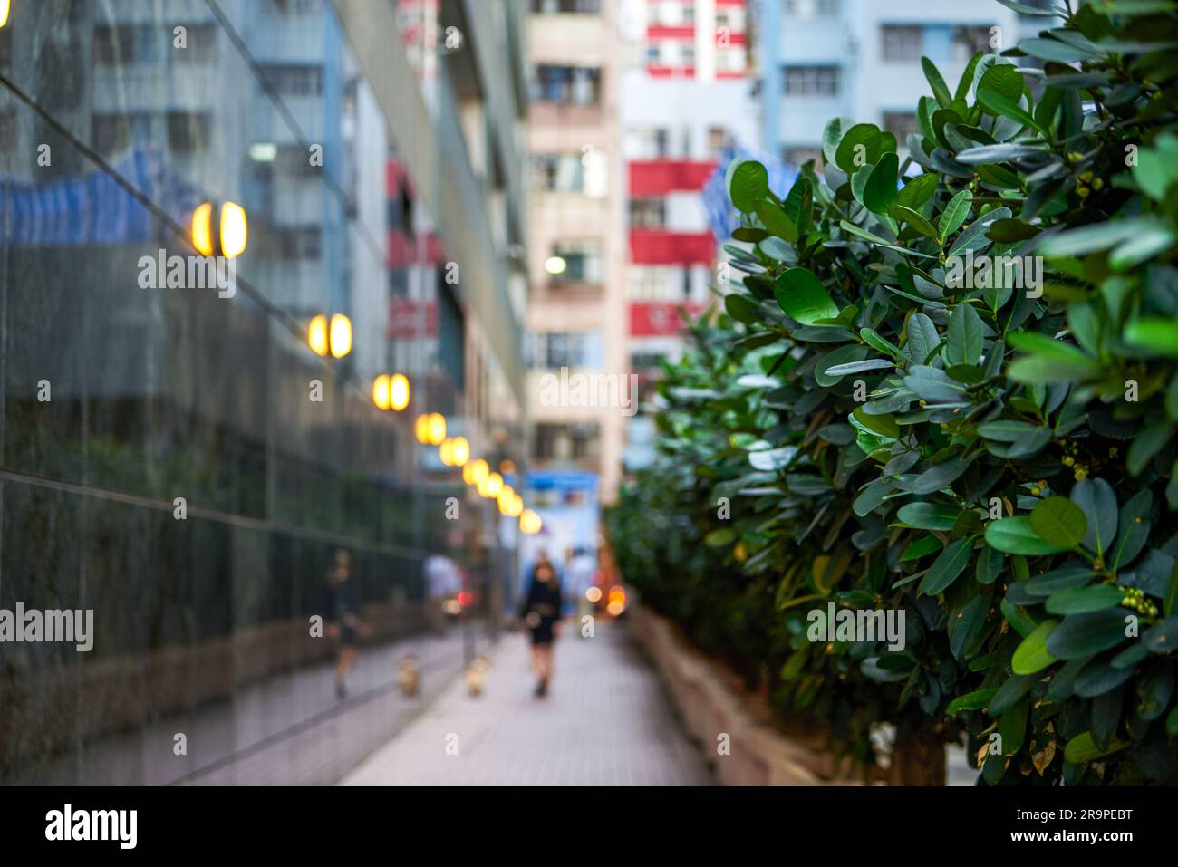 Empty hong kong streets hi-res stock photography and images - Alamy