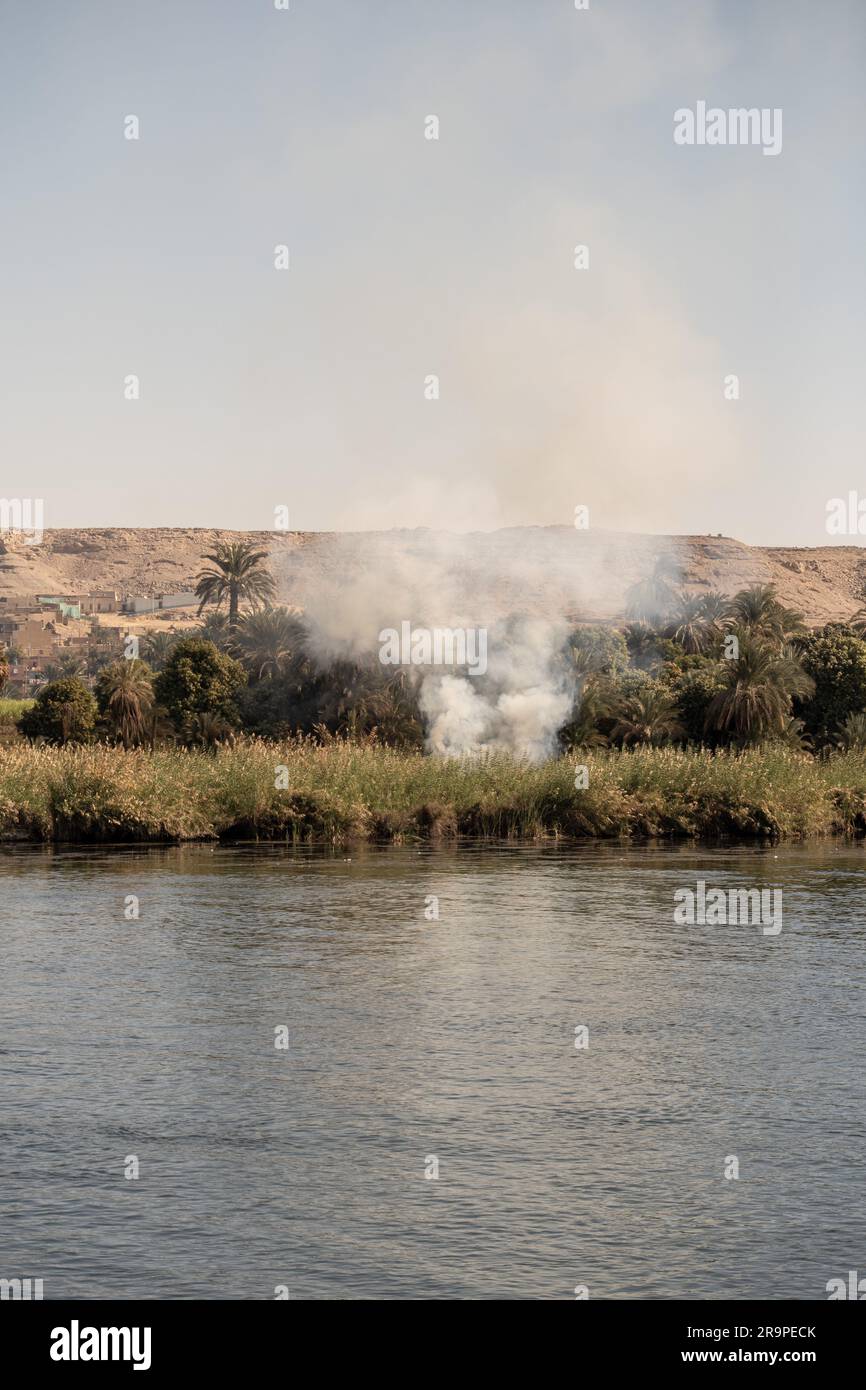 Acacia tree rainforest africa hi-res stock photography and images - Alamy