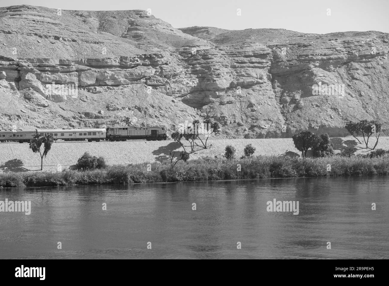 Train in the Desert by the Nile River Stock Photo - Alamy