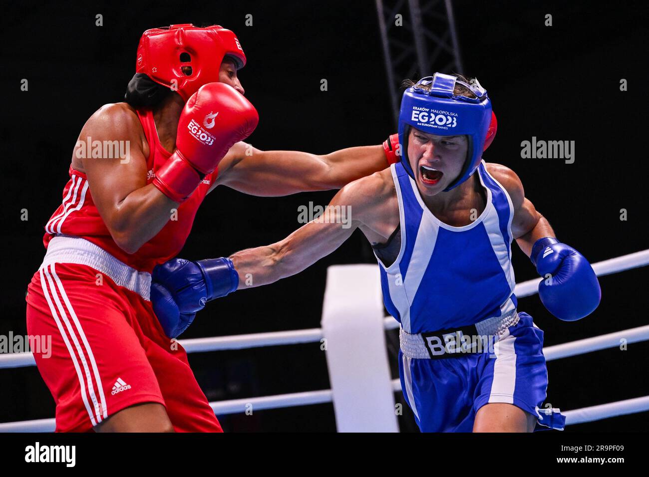 French boxer hi-res stock photography and images - Alamy