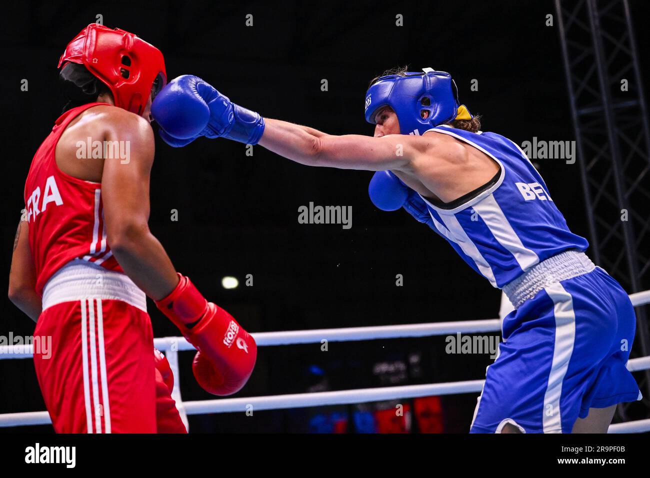French boxer hi-res stock photography and images - Alamy