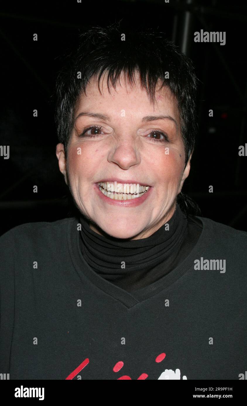 Liza Minnelli arriving at Celebrating Luigi, A Tribute To Luigi For His ...