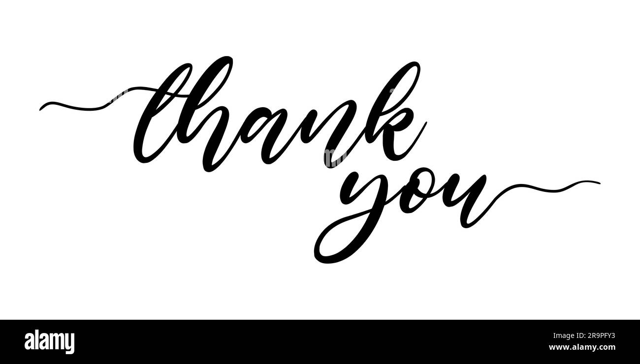 Vector Thank you brush handwritten lettering. Illustration of trendy ...