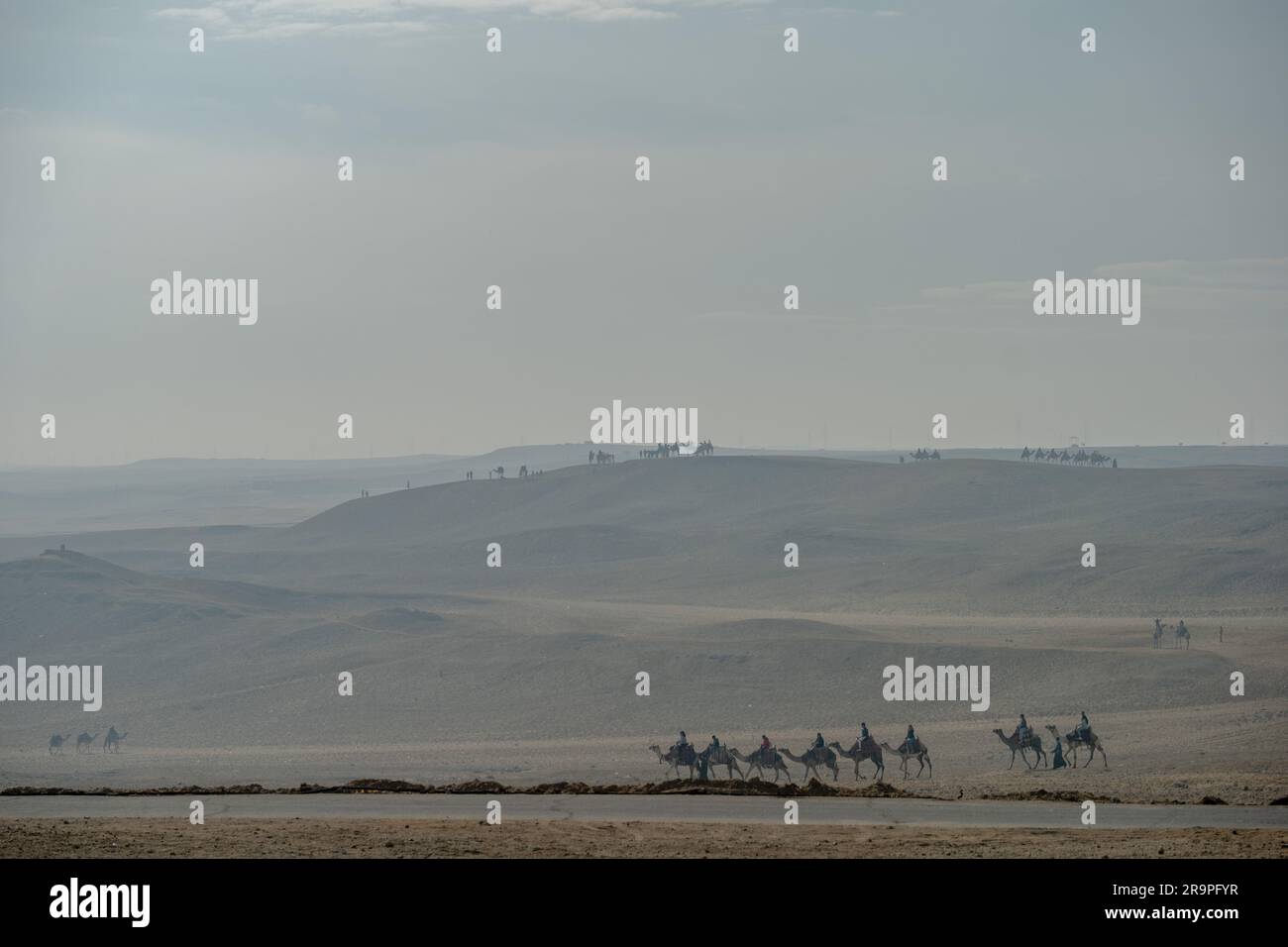 Camel trek on sand hi-res stock photography and images - Alamy