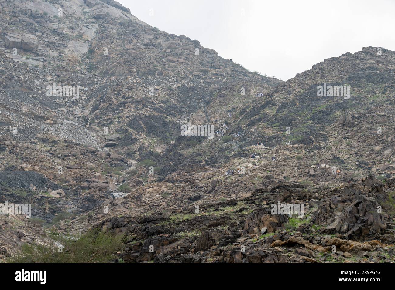 Pilgrims Hiking up a Mountain in Saudi Arabia Stock Photo - Alamy