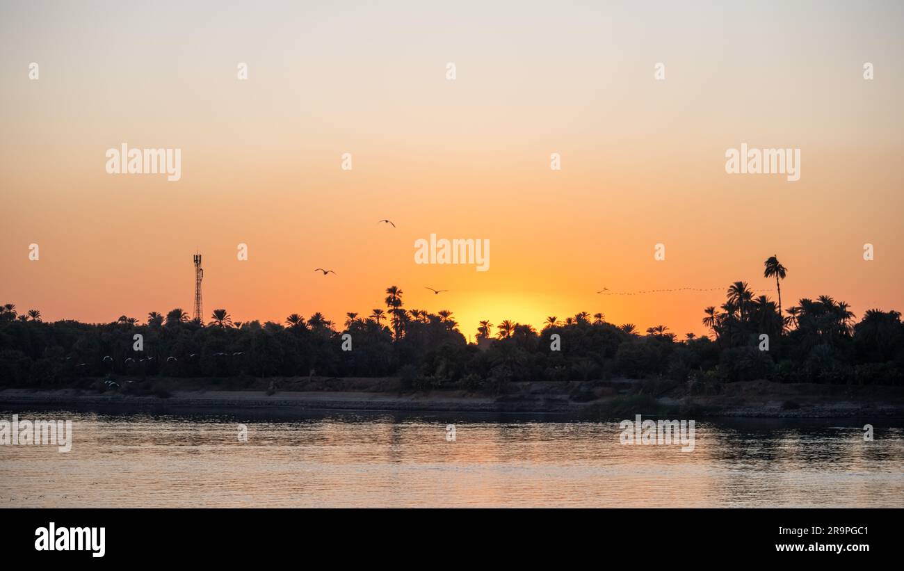 Nile birds flying hi-res stock photography and images - Alamy
