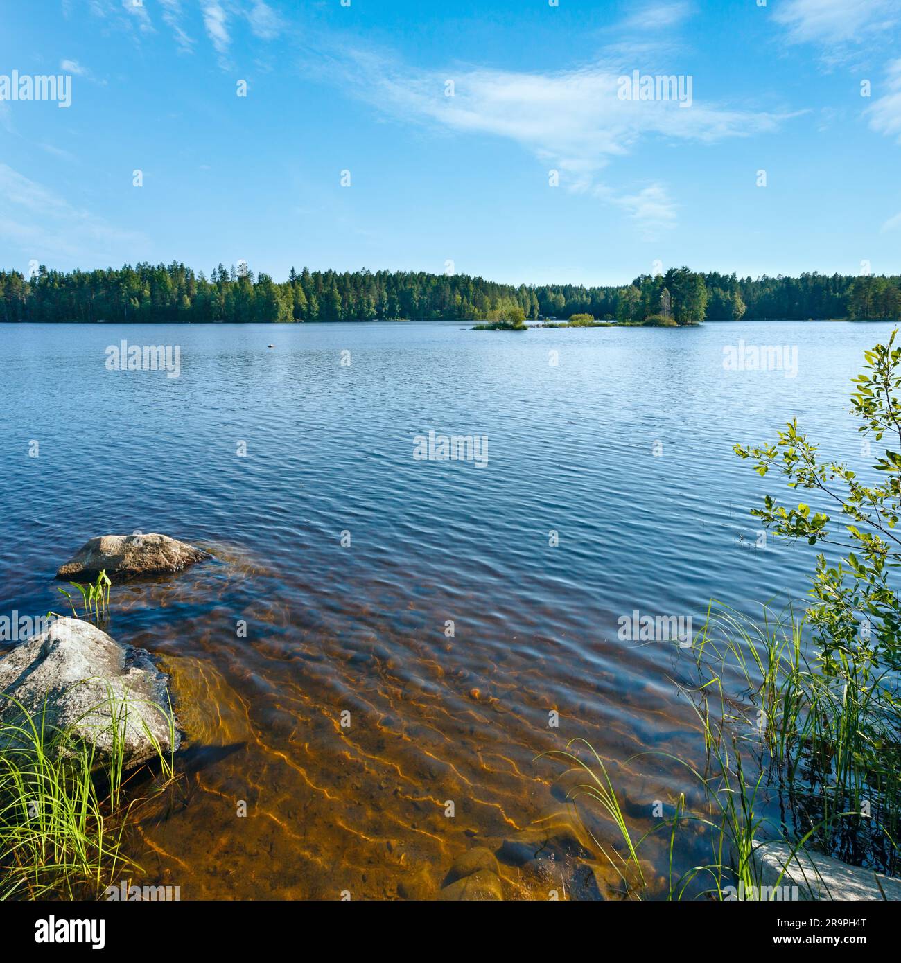 Lake summer view with forest on the edge ( Finland Stock Photo - Alamy