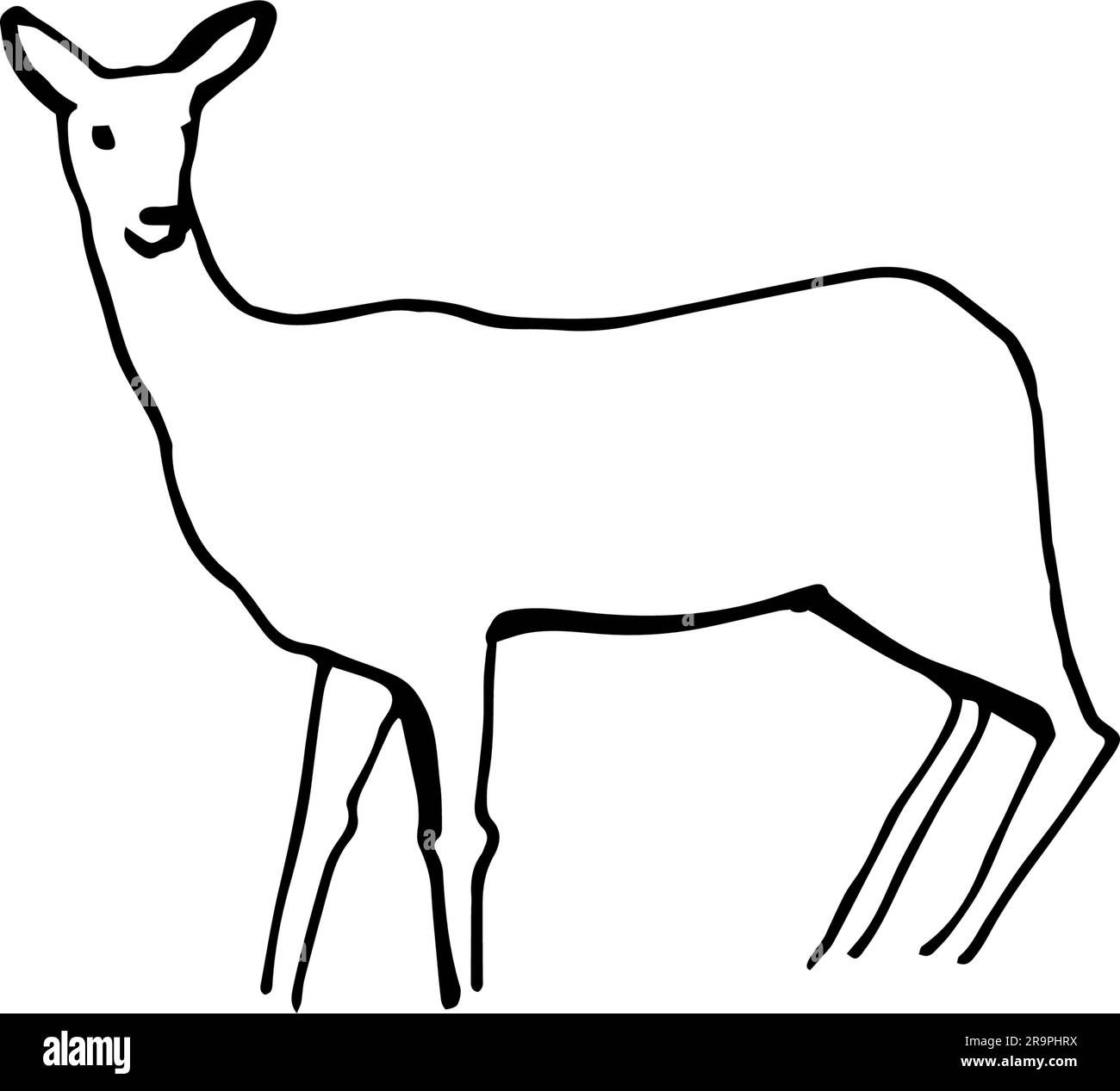Deer hand drawn vector illustration line sketch isolated on white ...