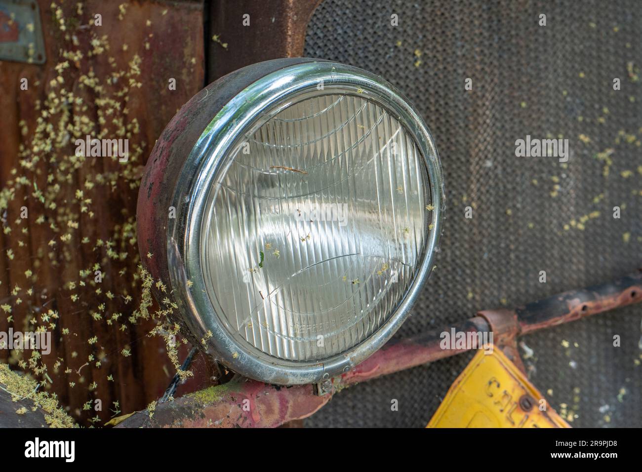Old Dodge Truck, rust in peace Stock Photo - Alamy