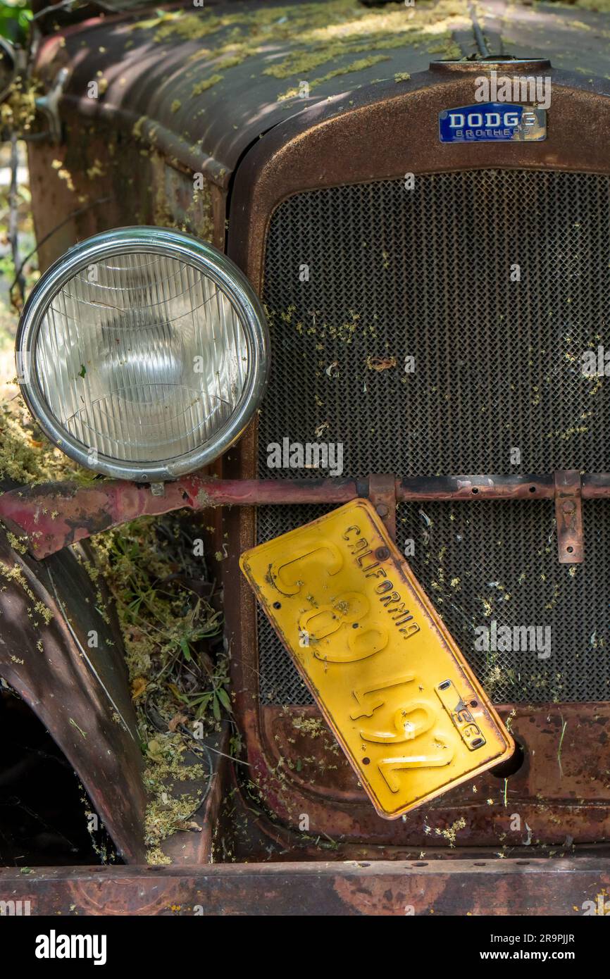 Old Dodge Truck, rust in peace Stock Photo - Alamy