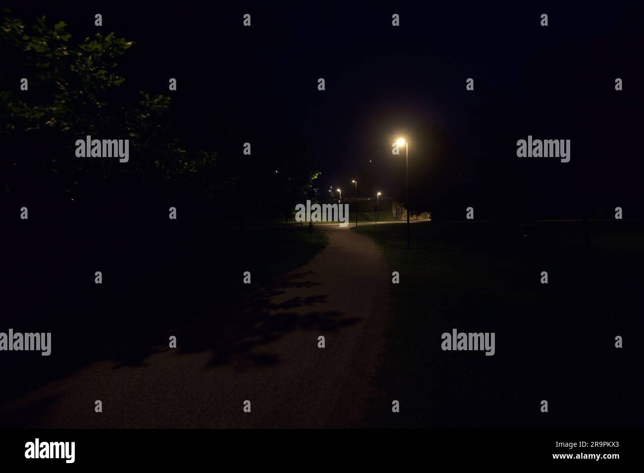 Path in a park with street lamps at night by the lakeshore Stock Photo ...