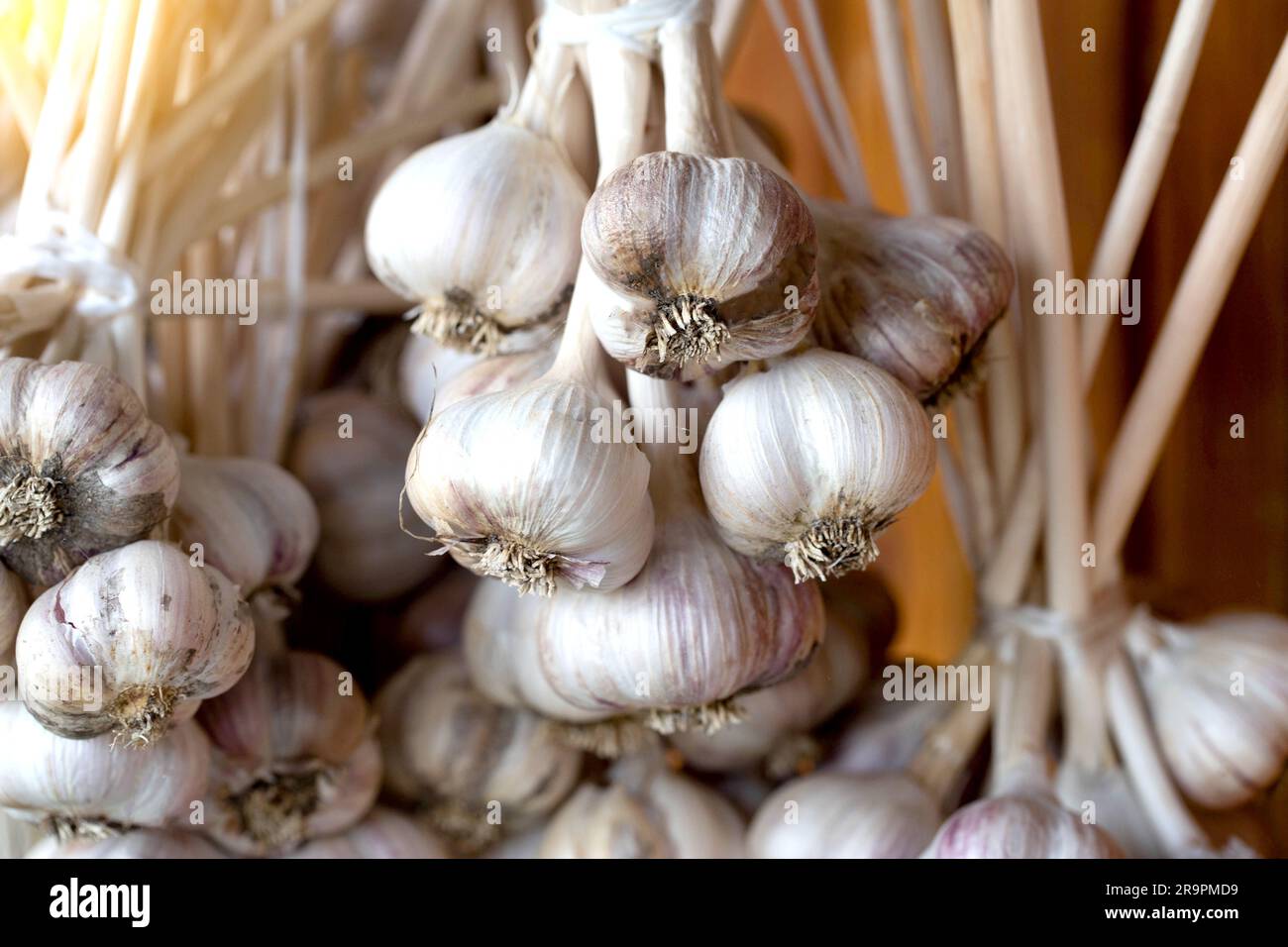 Suspended onion hi-res stock photography and images - Alamy