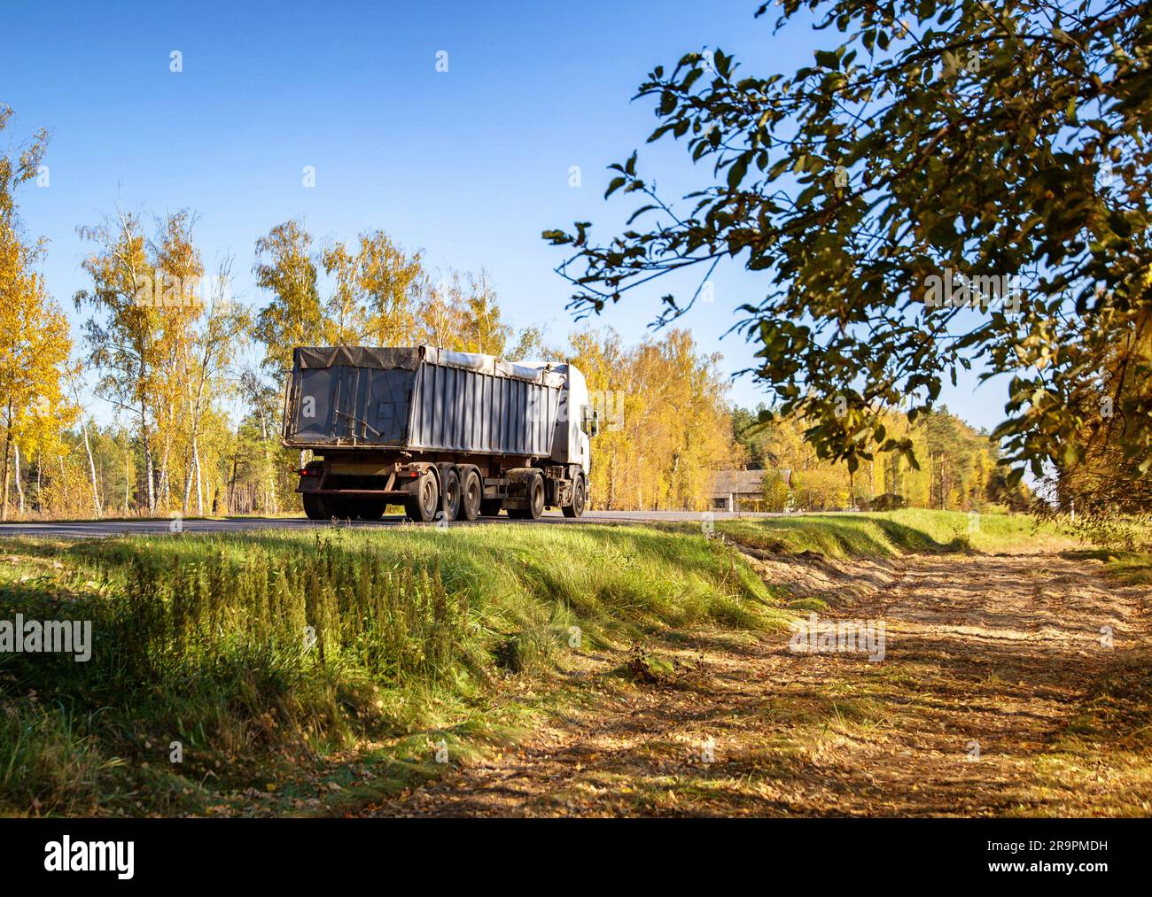 A truck with a semi-trailer transports bulk cargo grain in a special ...