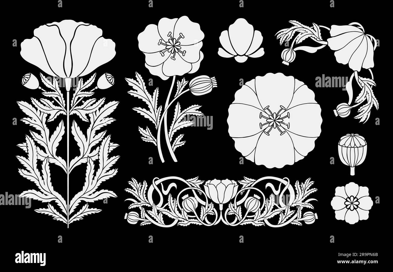 Floral poppy plant in art nouveau 1920-1930. Hand drawn in a linear ...