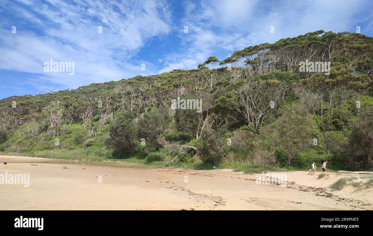 Bateau bay australia hi-res stock photography and images - Alamy